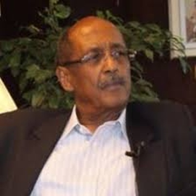 An Interview with the Managing Director of HESPI Dr. Ali Issa Abdi ...